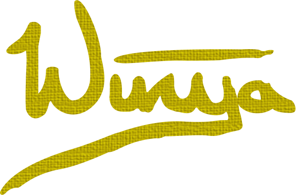 About The Artist – WINYA ART